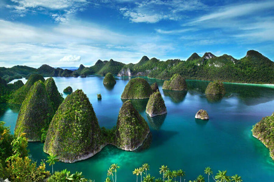 Best Snorkeling in Raja Ampat Islands I Indonesia Impression