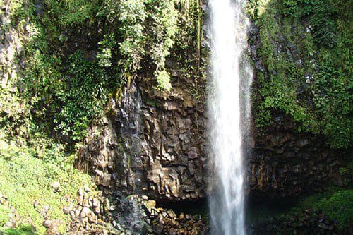 Sumatra’s Kerinci Seblat National Park Tour I Indonesia Impression