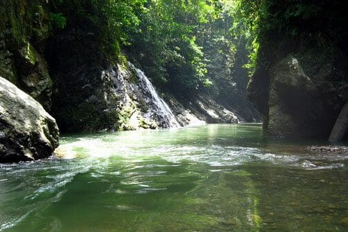 Gunung Leuser National Park Expedition I Indonesia Impression
