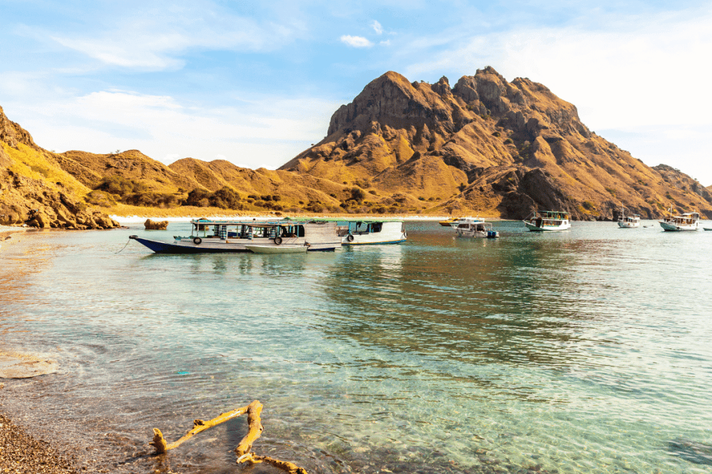 13 Best Things to Do in Komodo Island - Indonesia Impression Tour