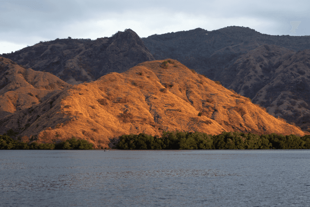13 Best Things to Do in Komodo Island - Indonesia Impression Tour