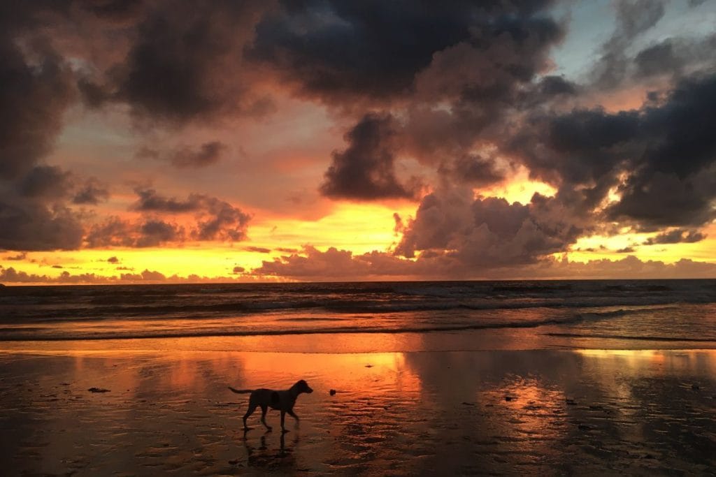 16 Best Things to Do in Kuta, Bali [Updated 2025] - Indonesia ...