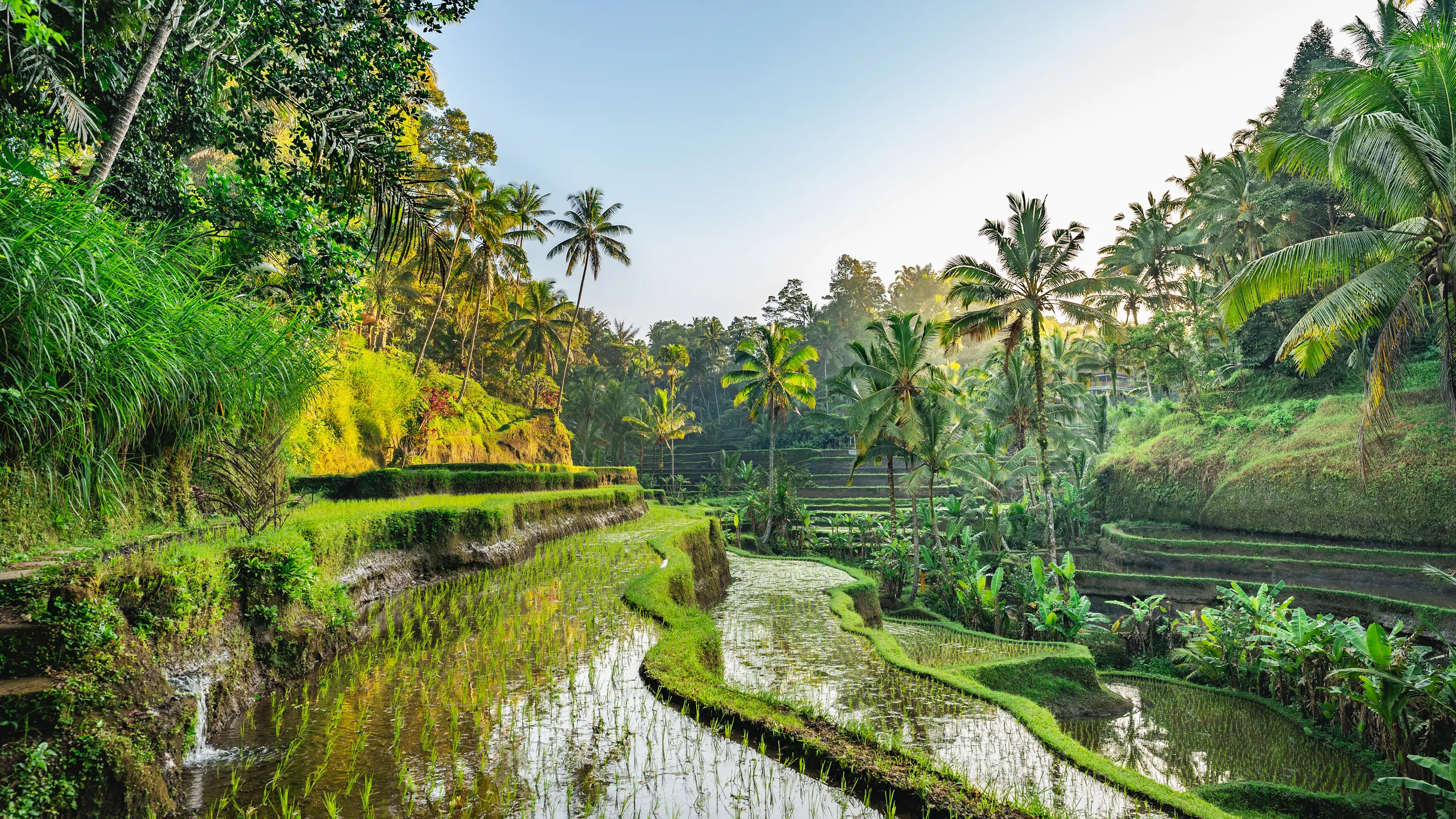 Benoa Shore Excursions: Experience Bali from the Port | Indonesia ...